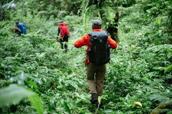 Informasi Jalur Pendakian Gunung Arjuno via Purwosari, Simak!